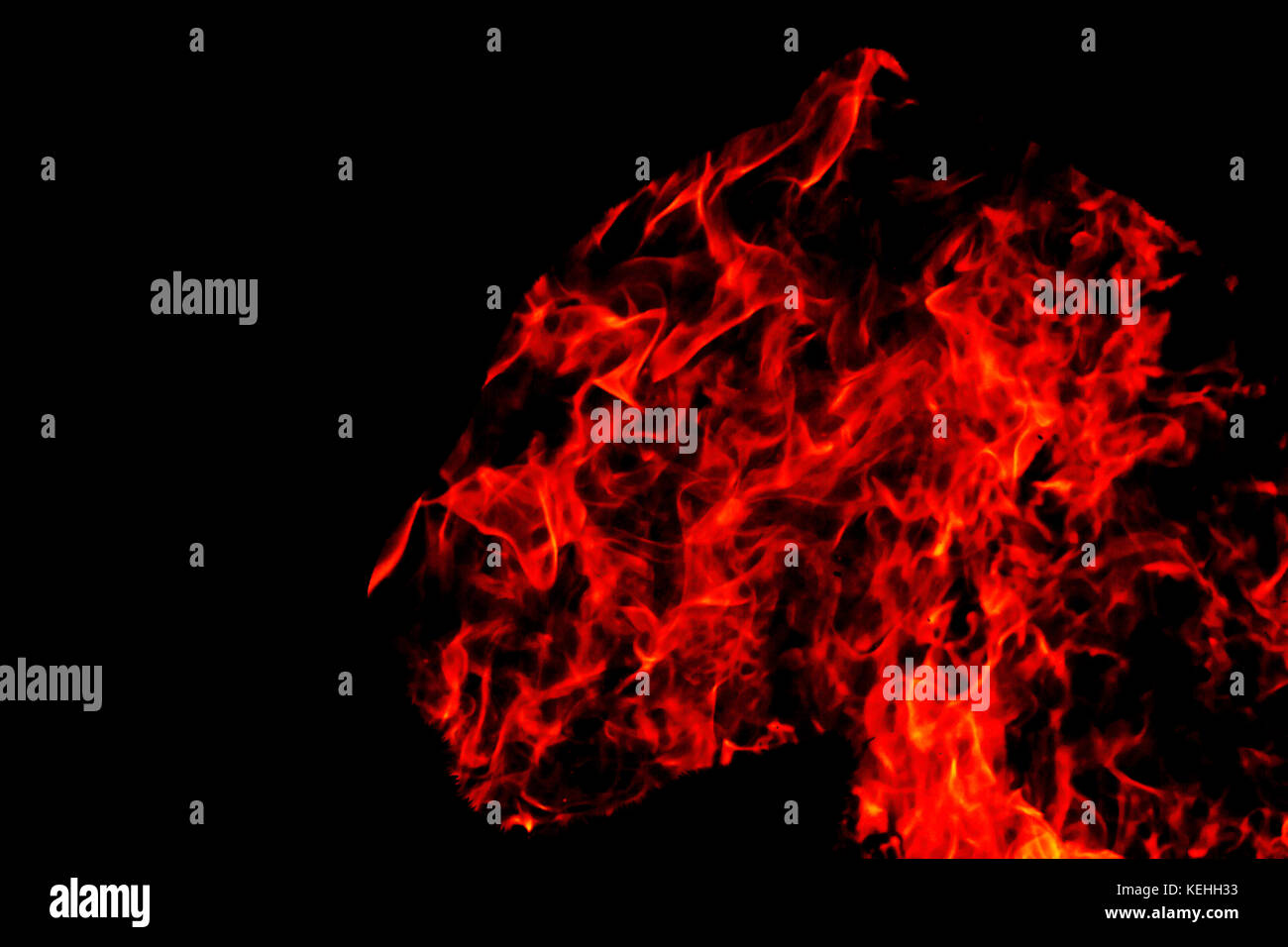 panther on fire on a black background Stock Photo - Alamy