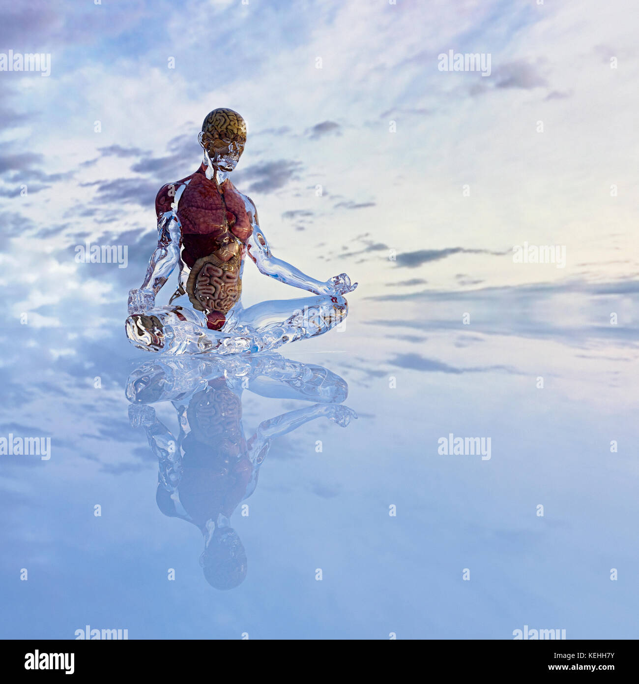 Organs of transparent man meditating in cloudy sky Stock Photo - Alamy
