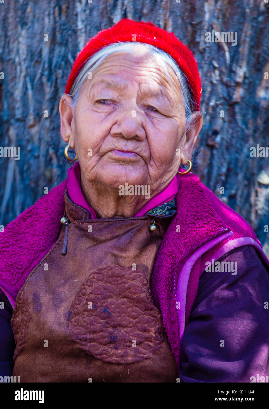 Portraite of Ladakhi woman during the Ladakh Festival in Leh India ...