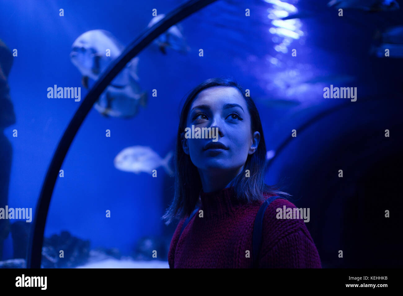 Woman at aquarium hi-res stock photography and images - Alamy