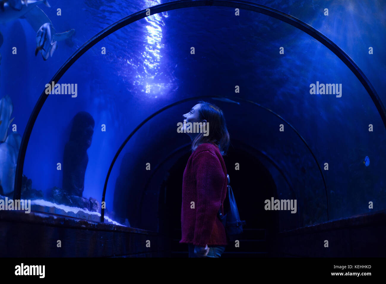 Woman swimming sea fish hi-res stock photography and images - Alamy