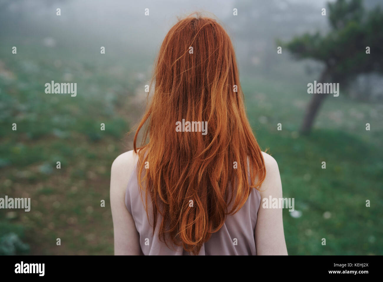Rear view of Caucasian woman with red hair Stock Photo - Alamy