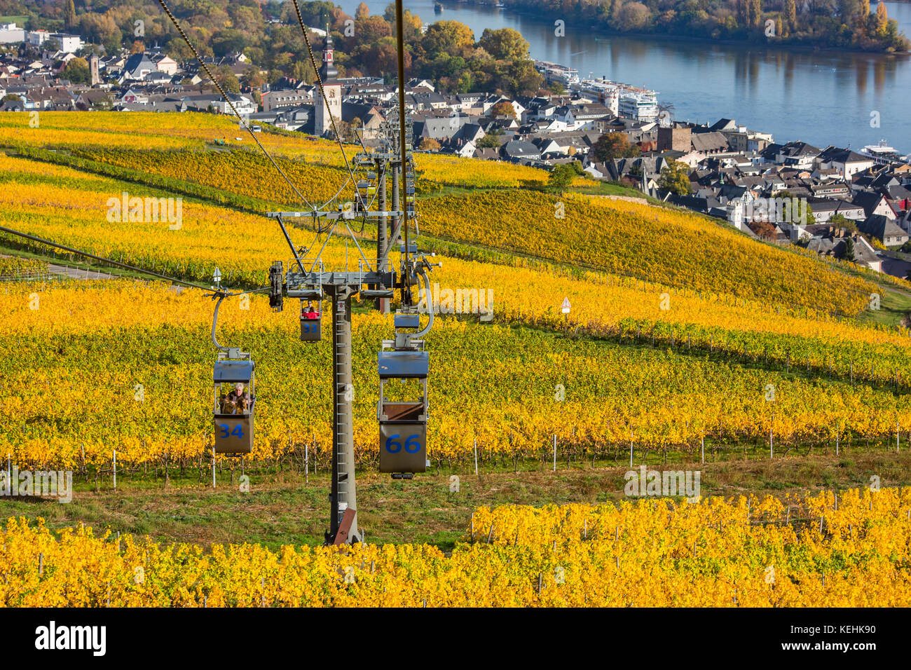 Rüdesheim am Rhein, wine making town in Germany, autumnal vineyards and ...