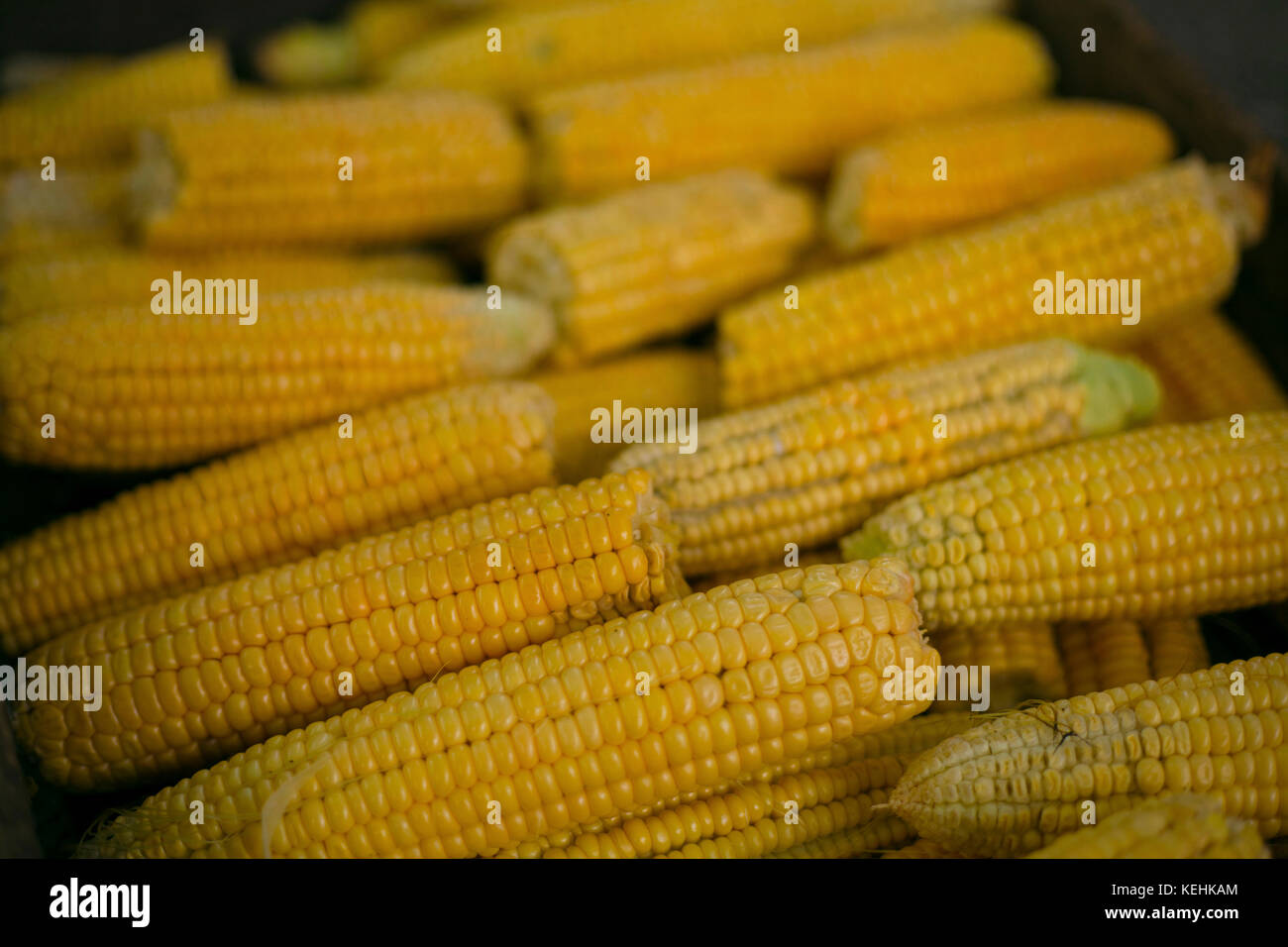 Stacked corn hi-res stock photography and images - Alamy