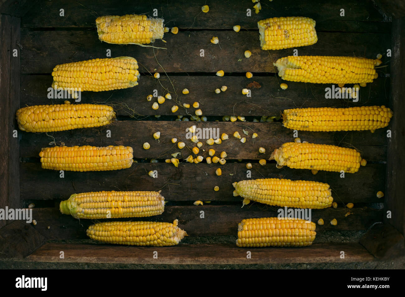 Kernels and corn on cob in wooden box Stock Photo - Alamy