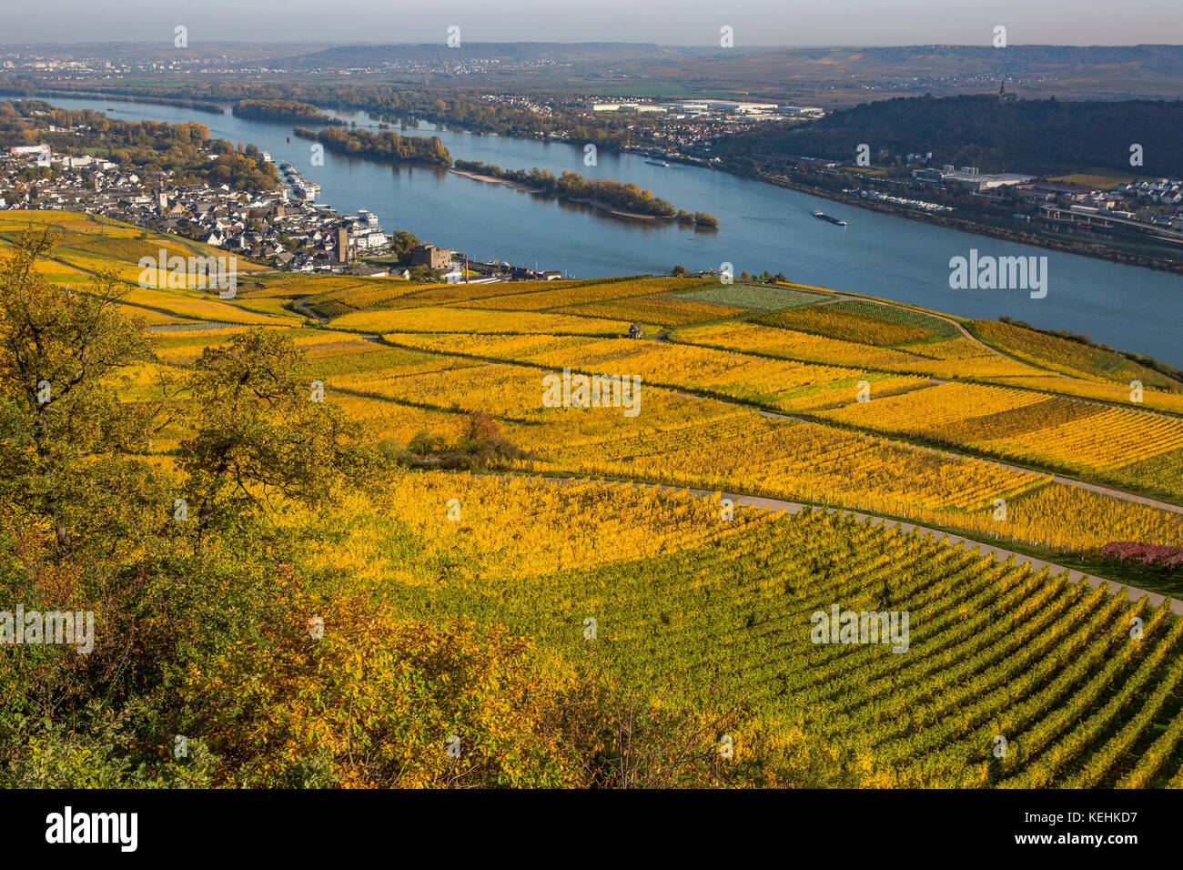 Rüdesheim am Rhein, wine making town in Germany, autumnal vineyards ...