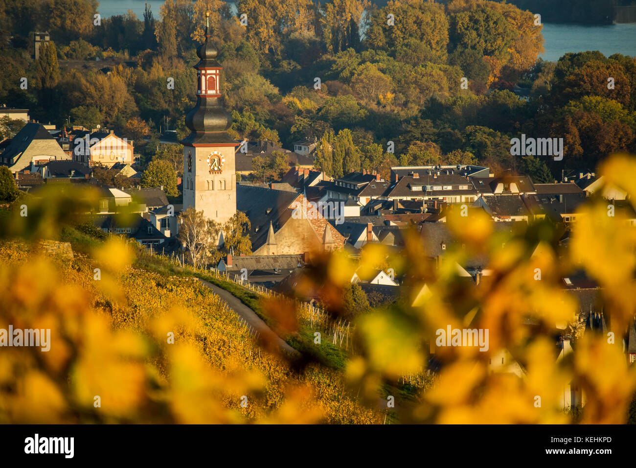 Rüdesheim am Rhein, wine making town in Germany Stock Photo - Alamy
