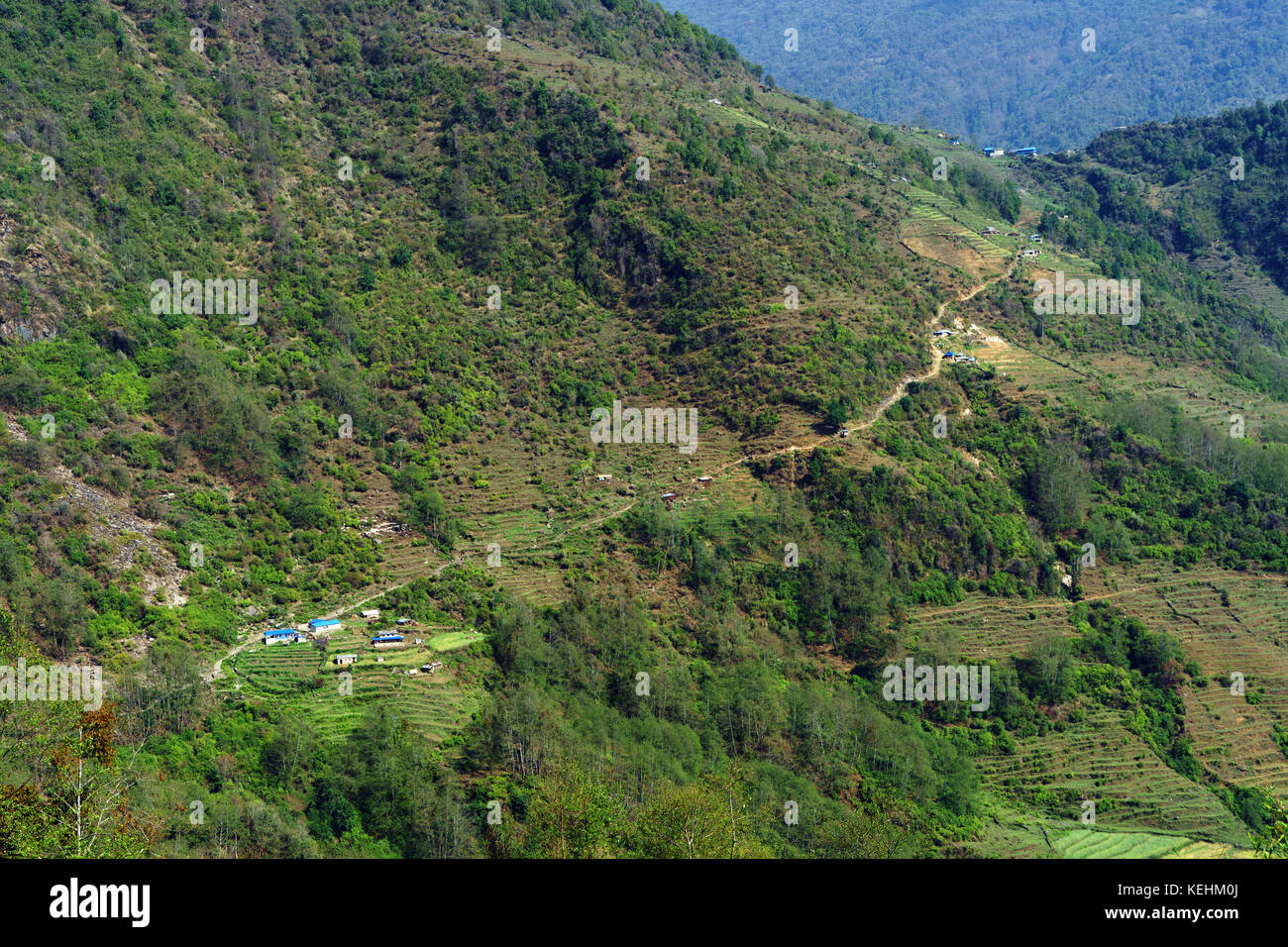Spectacular trail between Ghandruk and Tadapani, Annapurna region ...