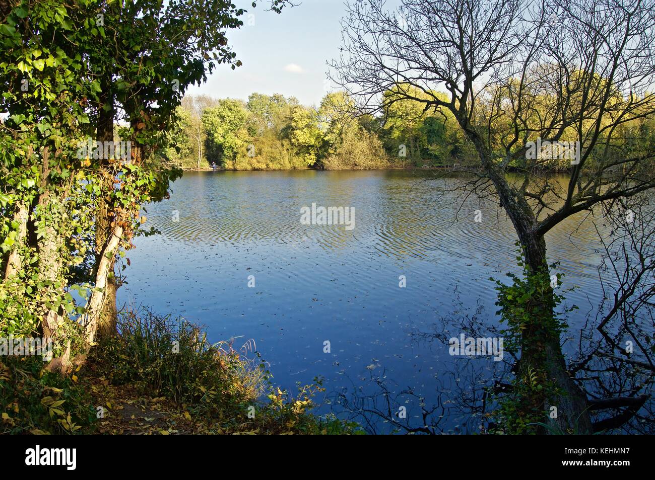 Broad water lake hi-res stock photography and images - Alamy