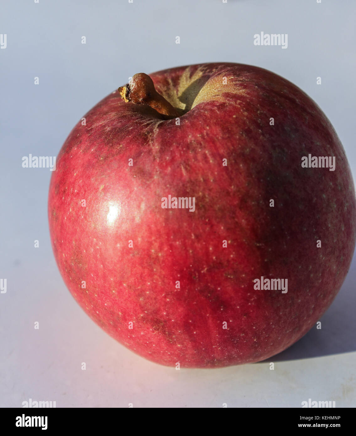 One organic red apple close up Stock Photo - Alamy