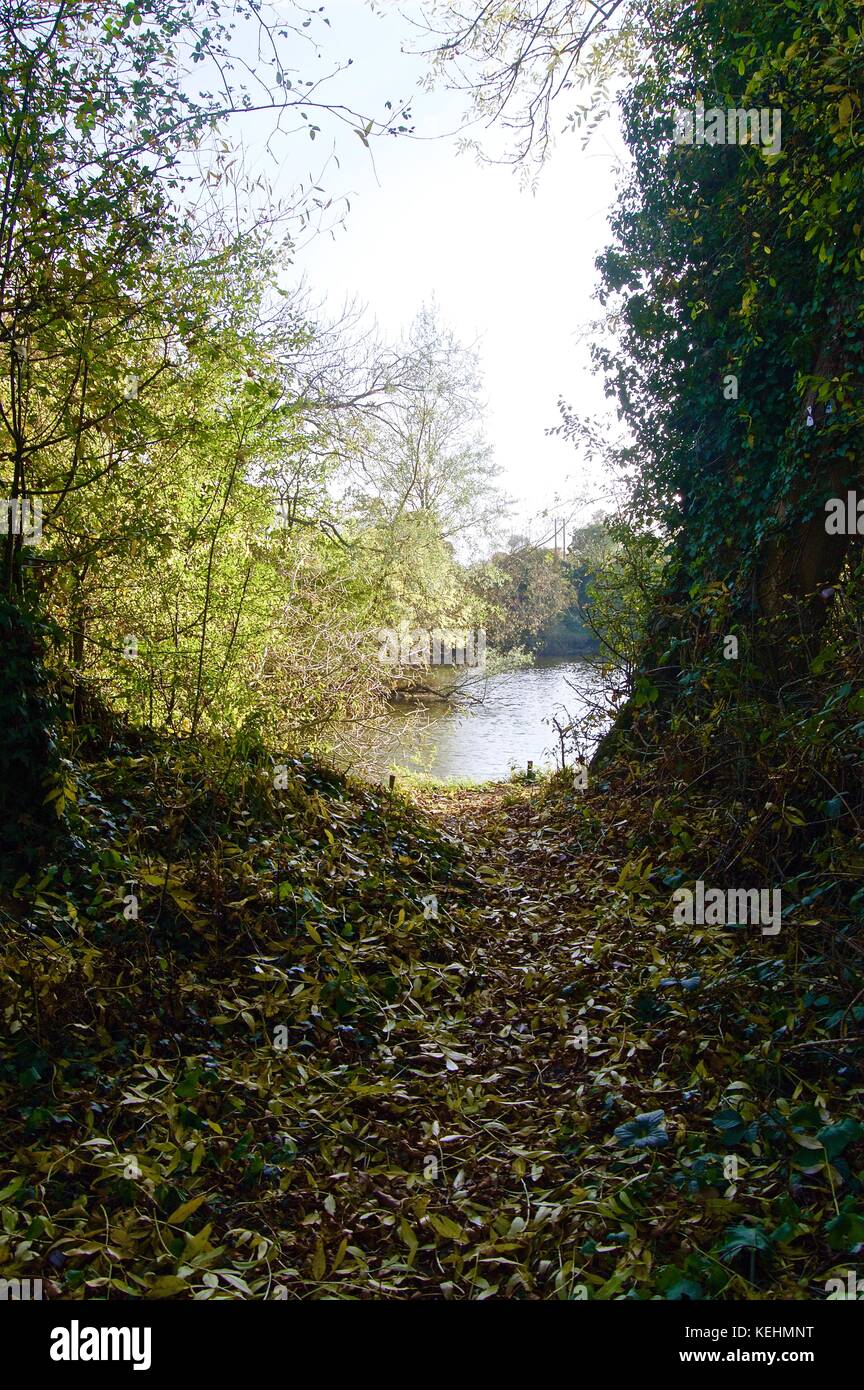 Landscape taken at Broad Colney Lakes Nature Reserve Stock Photo - Alamy