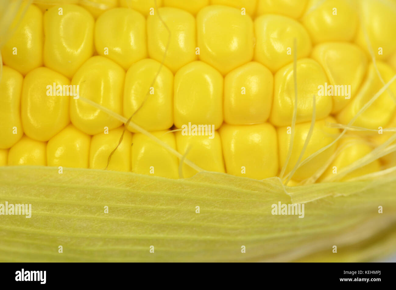 Detail shot of fresh corn on cob closeup Stock Photo - Alamy