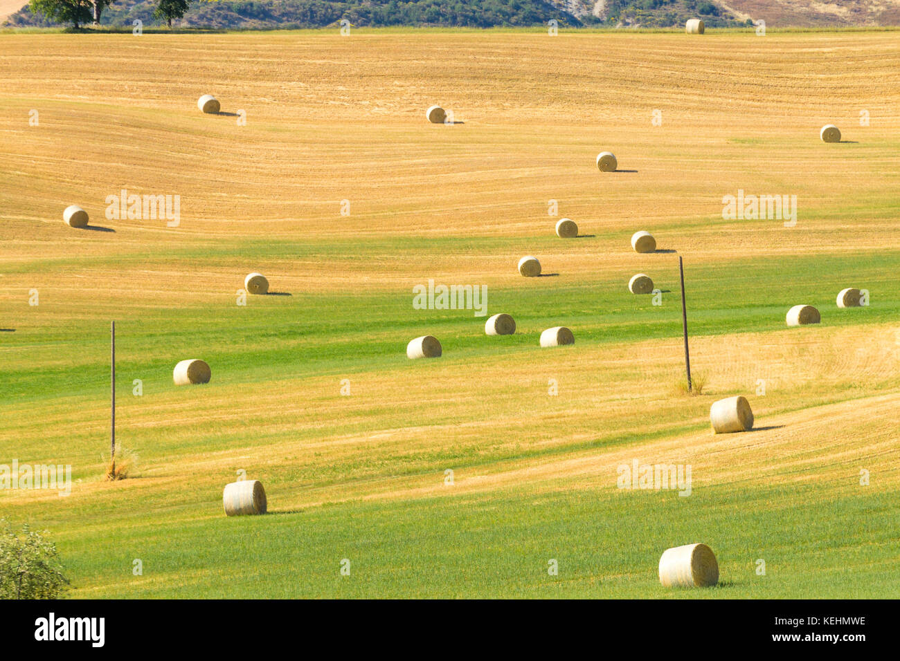 Tuscany hills landscape, Italy. Rural italian panorama Stock Photo - Alamy