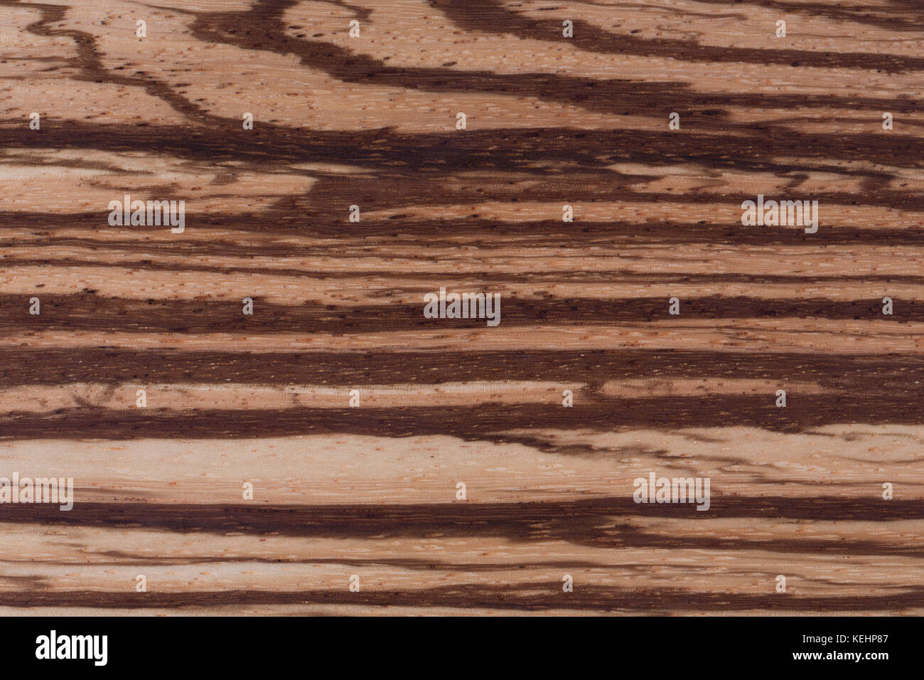 Zebrano texture, Wood grain background. Hi res photo Stock Photo - Alamy