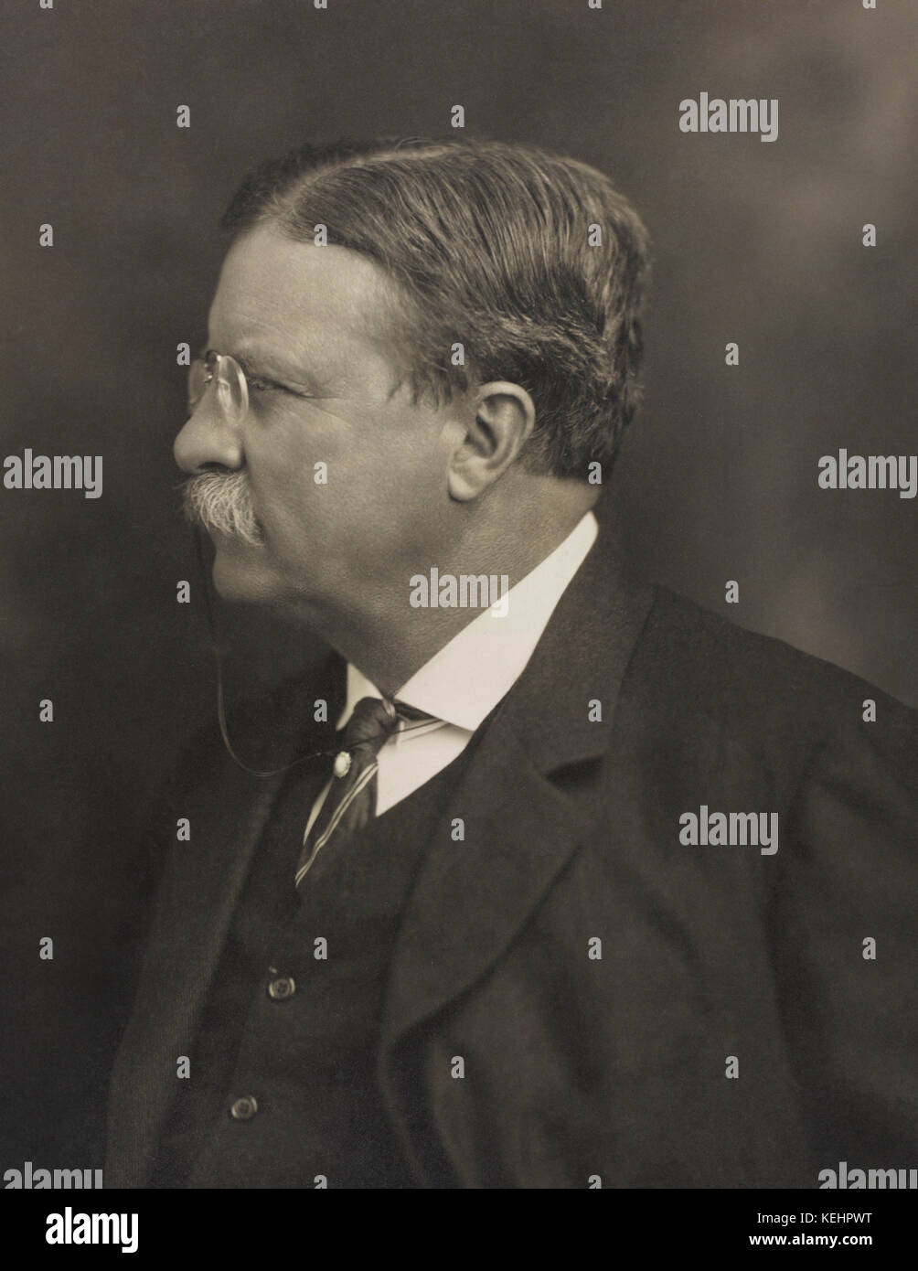 Theodore Roosevelt,Profile Portrait,1913 Stock Photo - Alamy
