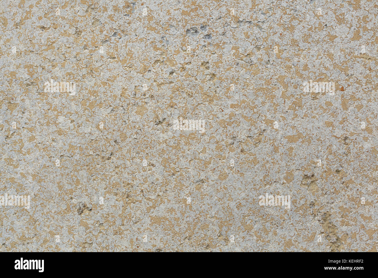 Limestone wall texture hi-res stock photography and images - Alamy