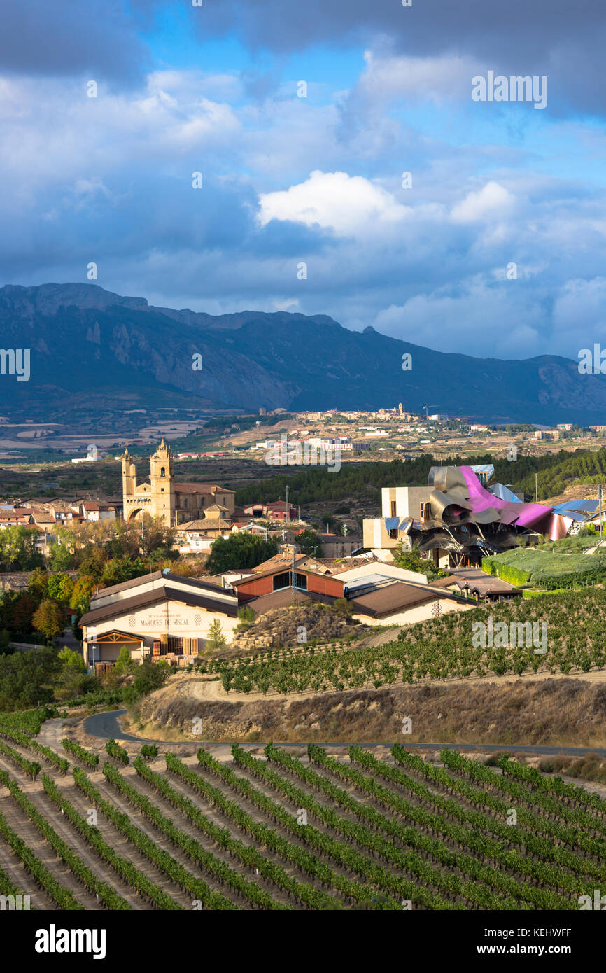Marques de Riscal Bodega winery, vines and Hotel Marques de Riscal ...