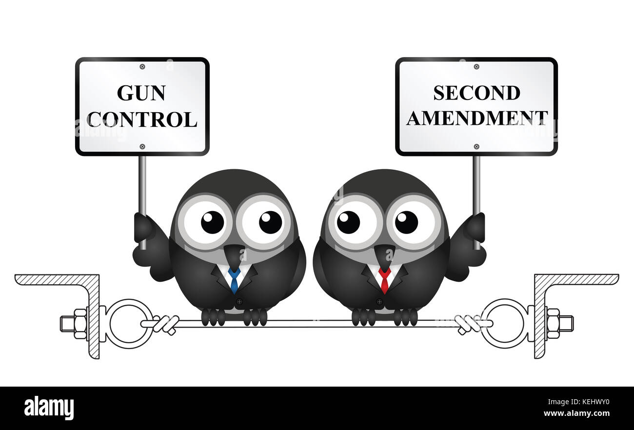 2nd Amendment Rights Cartoons