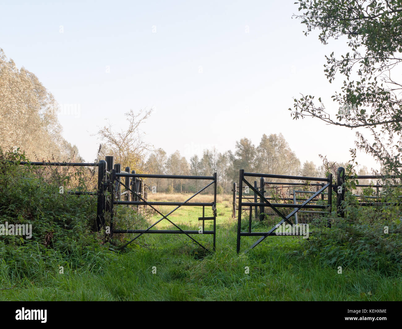 set of black farm field country gates empty and open; essex; england ...