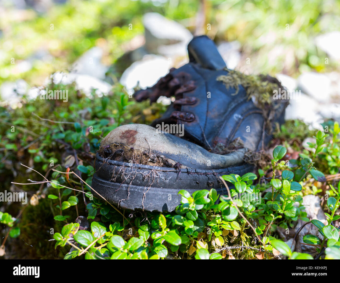 old dirty boots.old boots worn with scratches and untied shoelaces on ...