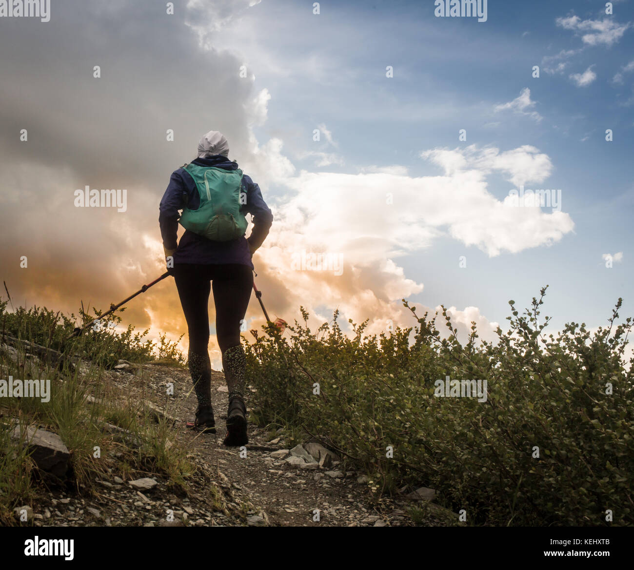 Young fitness woman running at morning tropical forest trail Stock ...
