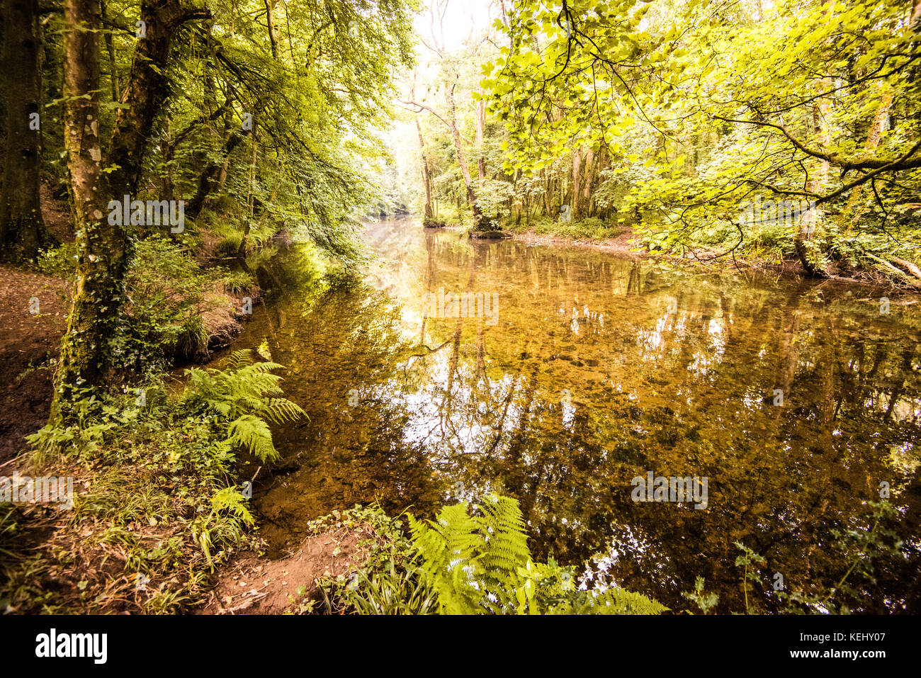 River Avon, Gara Bridge, Totnes, Devon. A beautiful and peaceful river ...