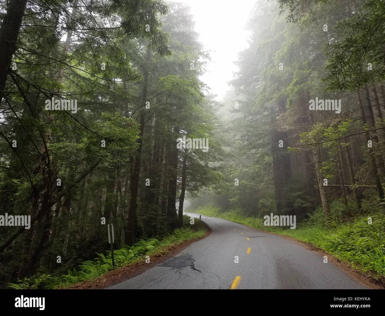 Drive through redwood national park hi-res stock photography and images ...