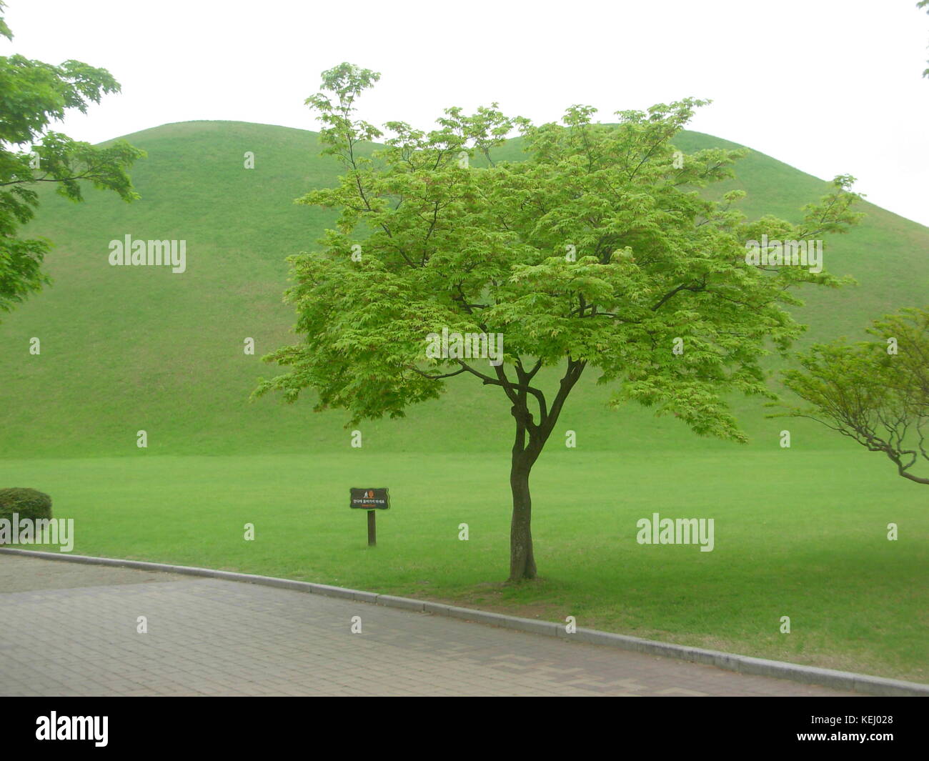 The Tumuli park belt with royal tombs in Gyeongju, South Korea Stock ...