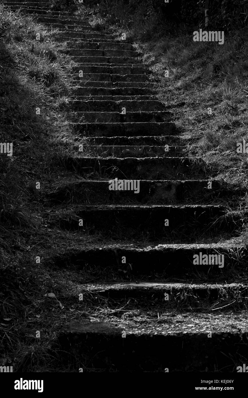 Upward flight Black and White Stock Photos & Images - Alamy