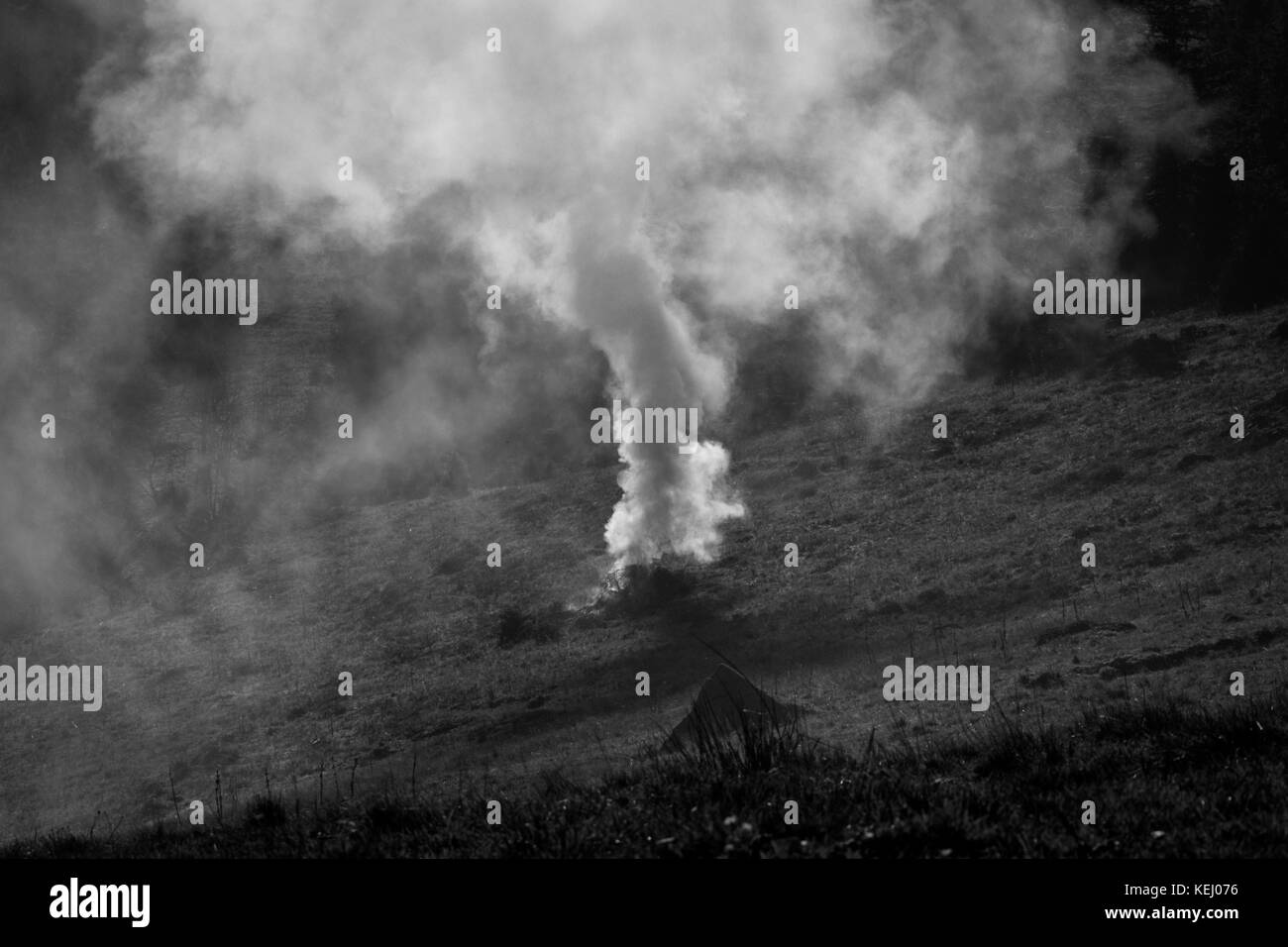 Wildland background Black and White Stock Photos & Images - Alamy