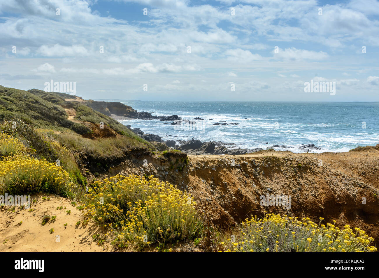 Atlantic coast at Jard-sur-Mer, department Vendee, France Stock Photo ...