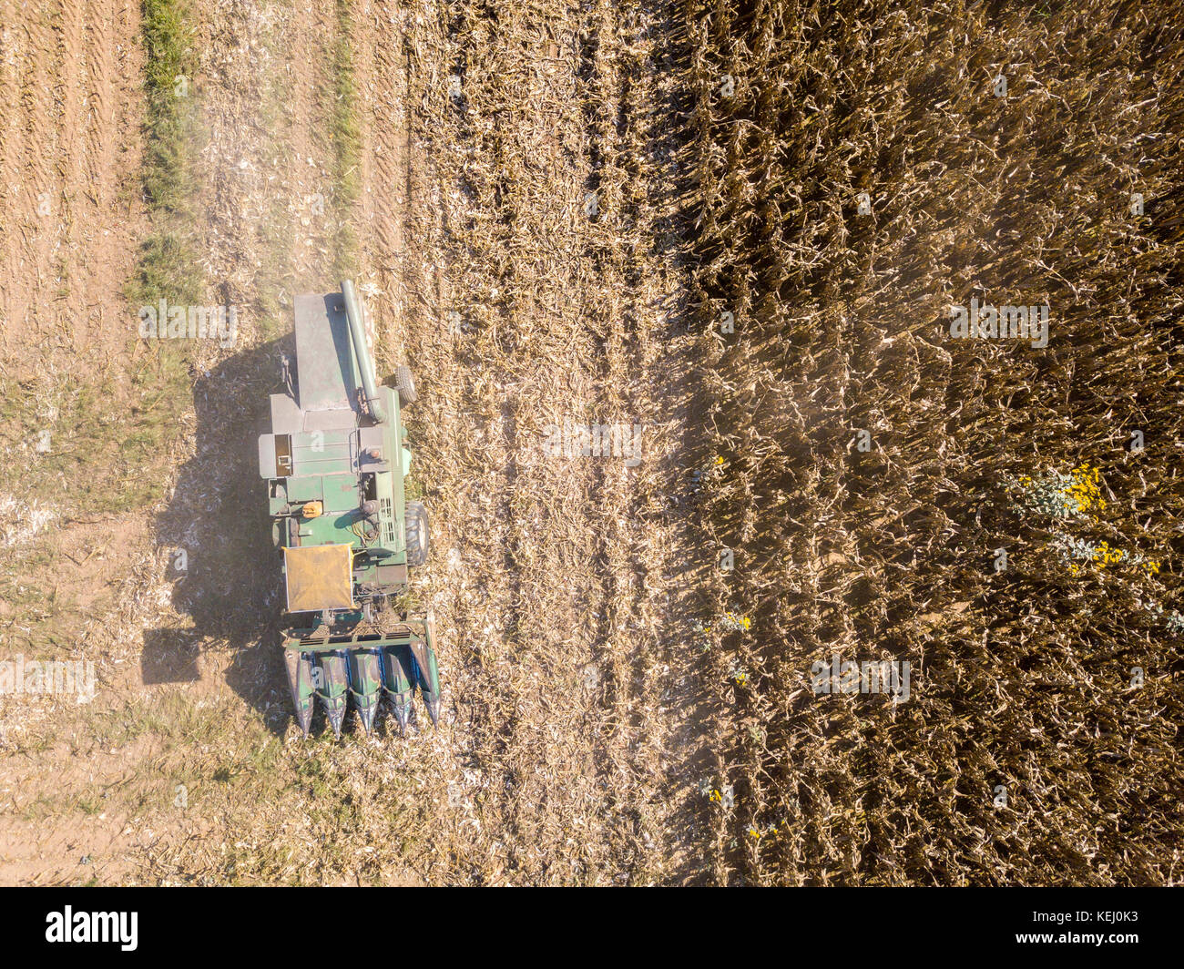 Combine harvester picking seed from fields, aerial view of a field with ...