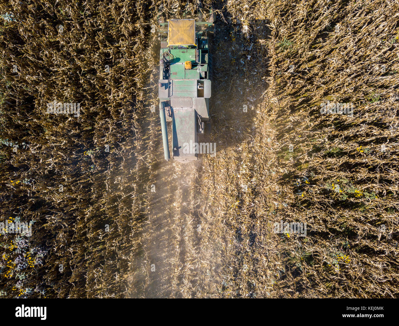 Combine harvester picking seed from fields, aerial view of a field with ...