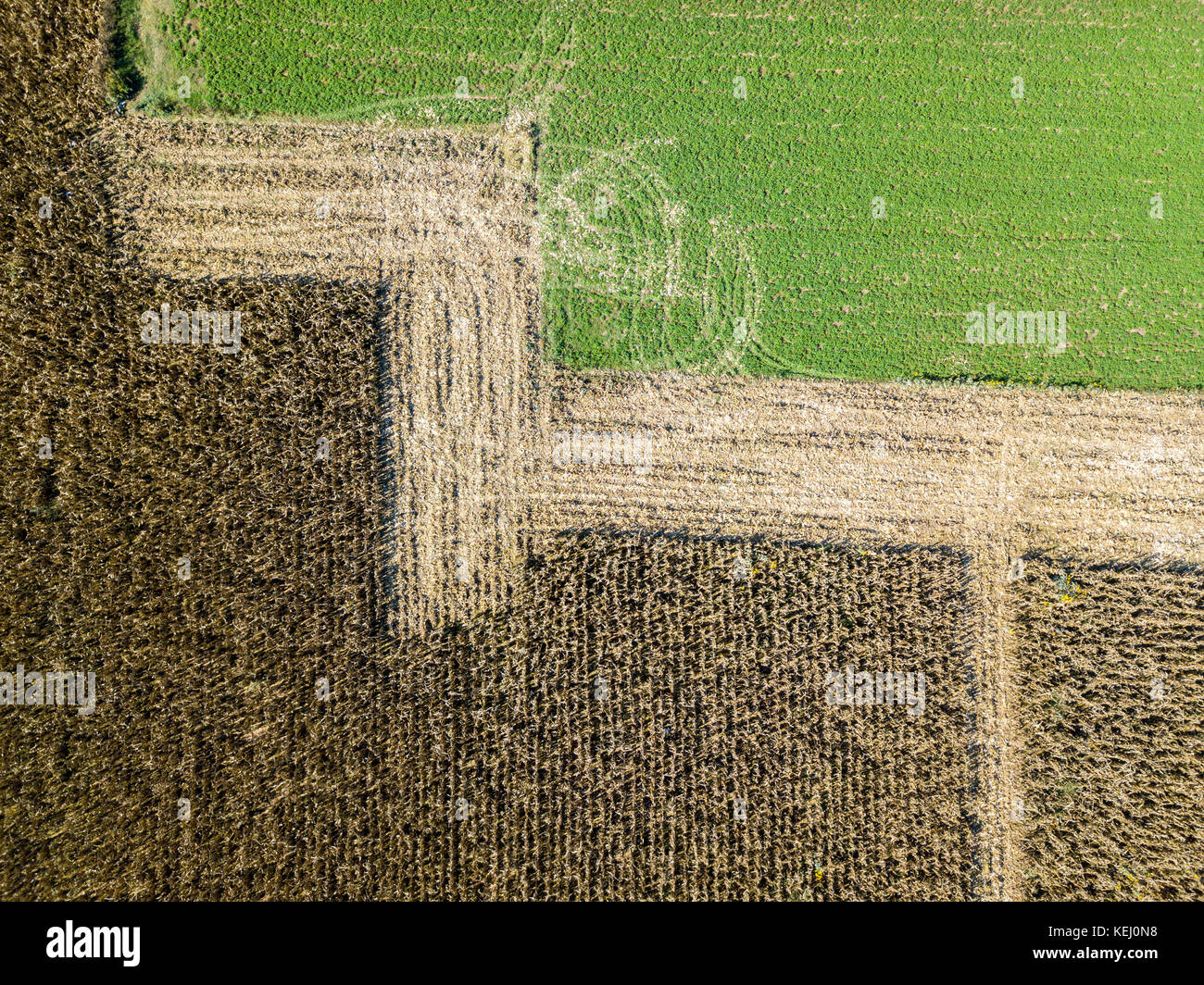 Nature and landscape: aerial view of a field, cultivation, plowed field ...