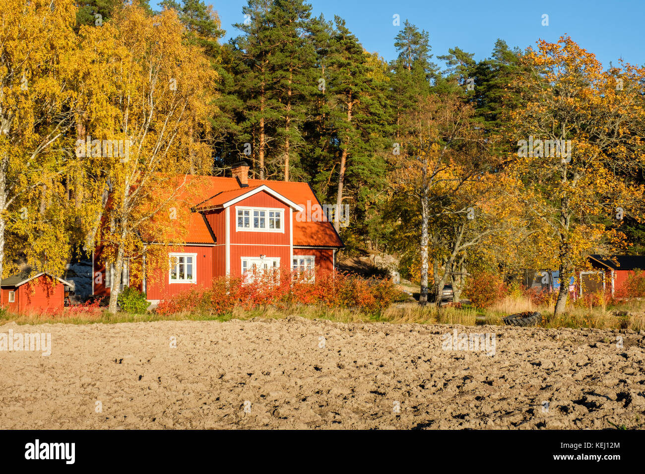 Traditional swedish farm house hi-res stock photography and images - Alamy