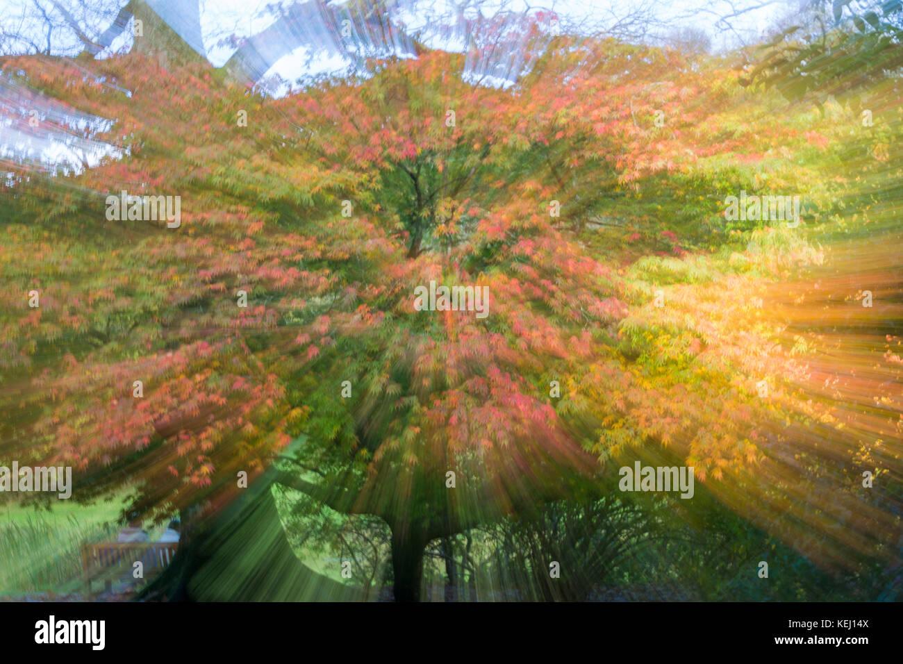 Zoom bursting hi-res stock photography and images - Alamy