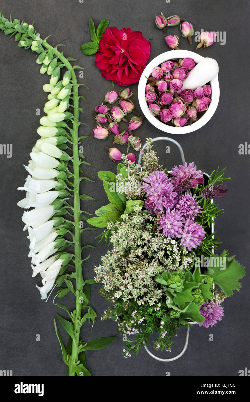Herbs and flowers for preparation in alternative and homeopathic herbal ...