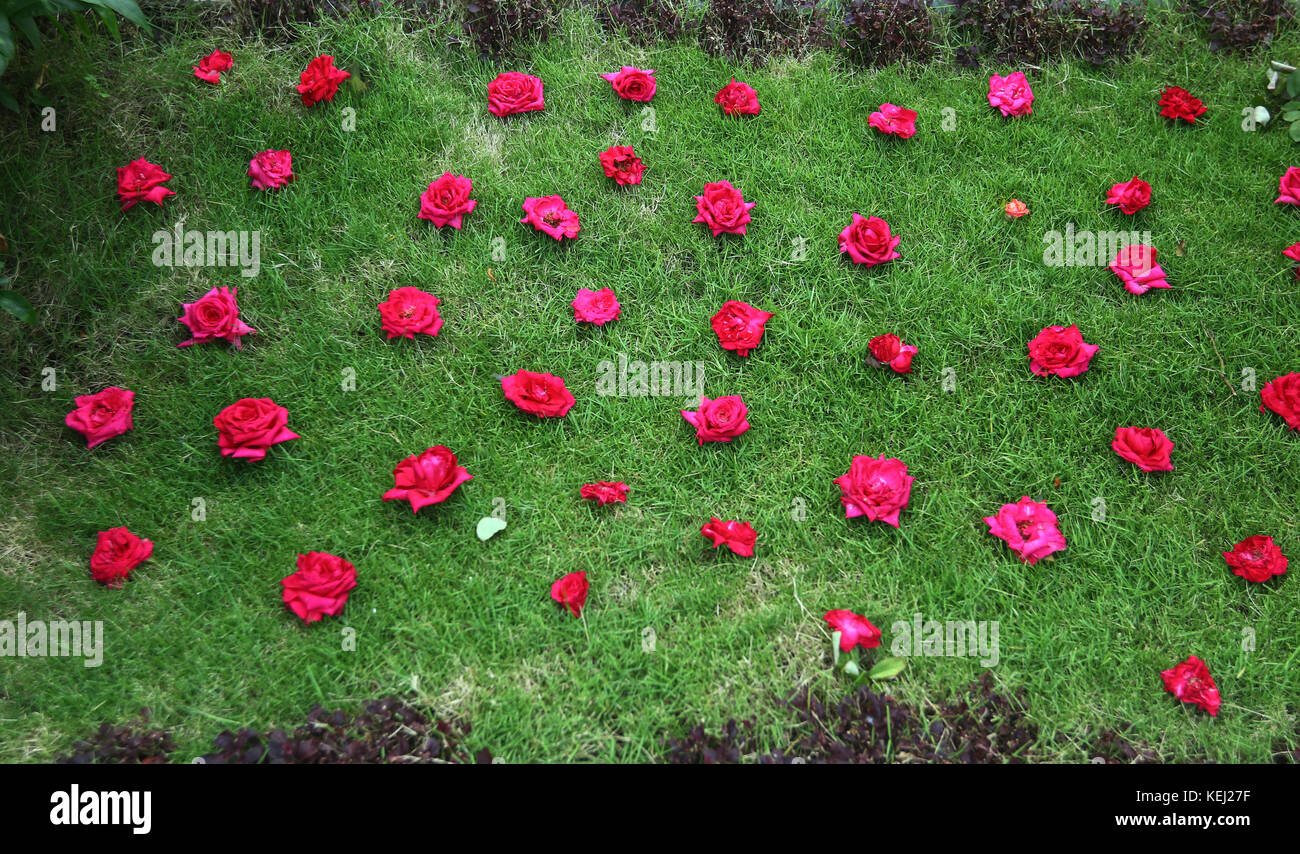 Dhaka Banani Graveyard Stock Photo - Alamy