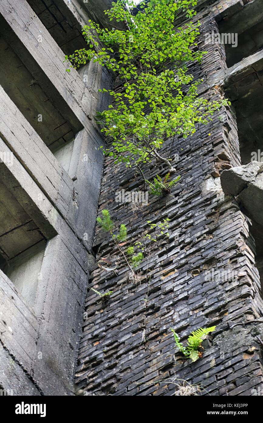 Abandoned falling apart Building at Prora built as a beach resort by ...