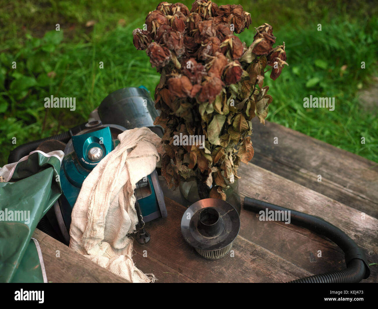 Dead flowers and vacuum cleaner on the wooden steps, outdoor cropped ...