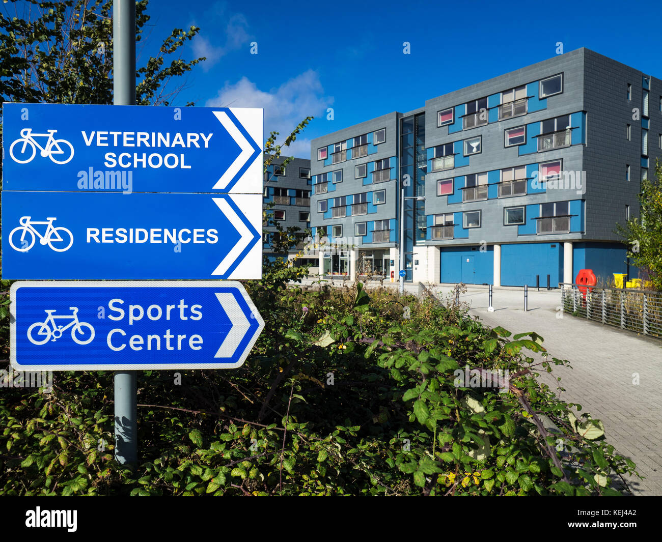 Bike Path Signs on the West Cambridge Site of the University of ...