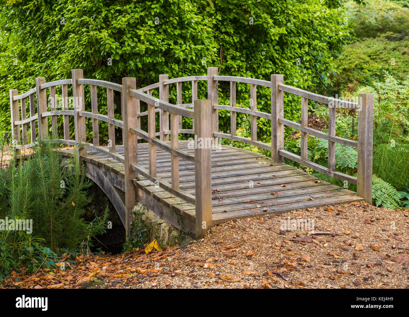 A shot of a small Japanese style bridge Stock Photo - Alamy