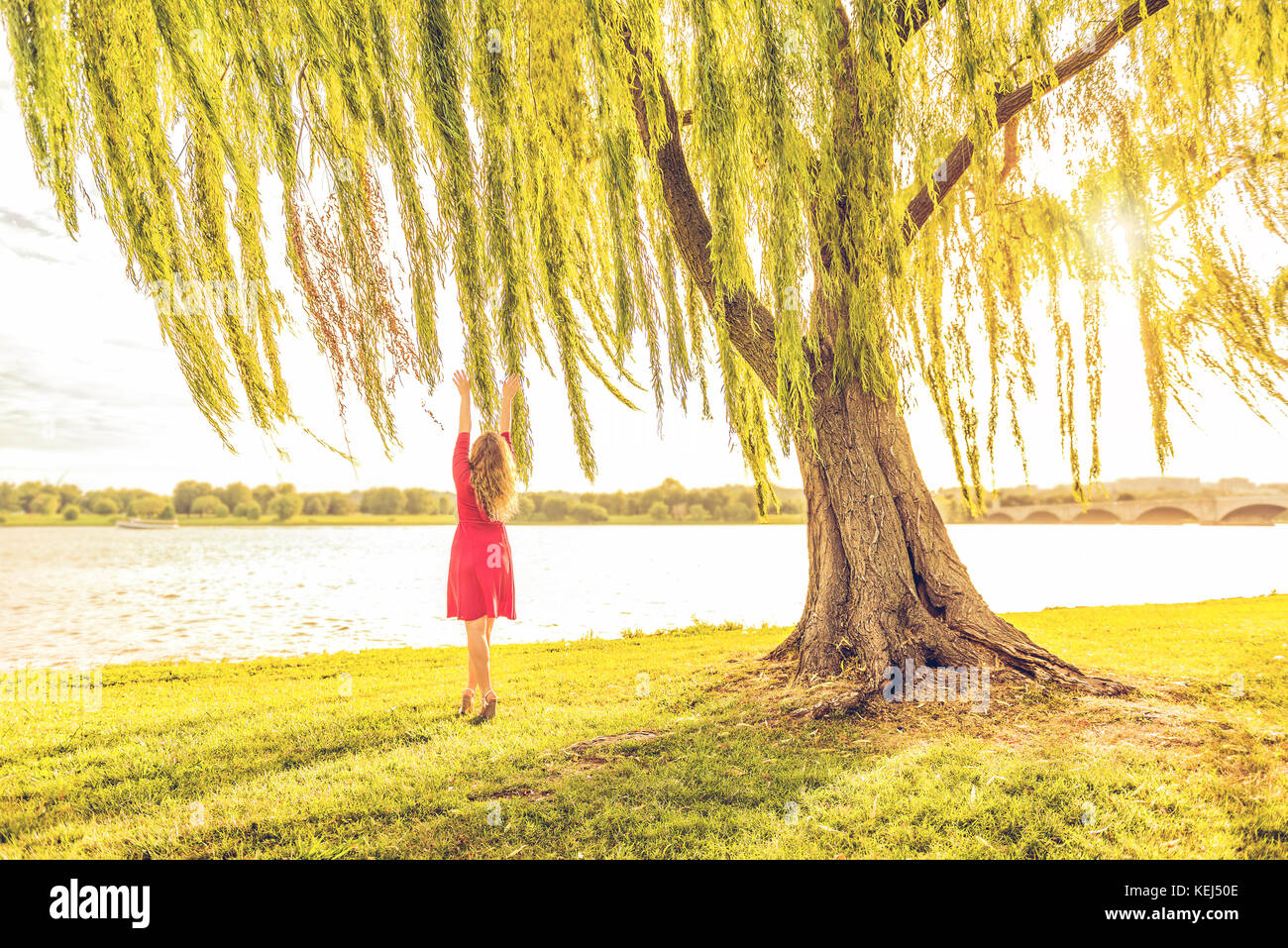 Woman with long curly brunette hair in red dress reaching to willow ...