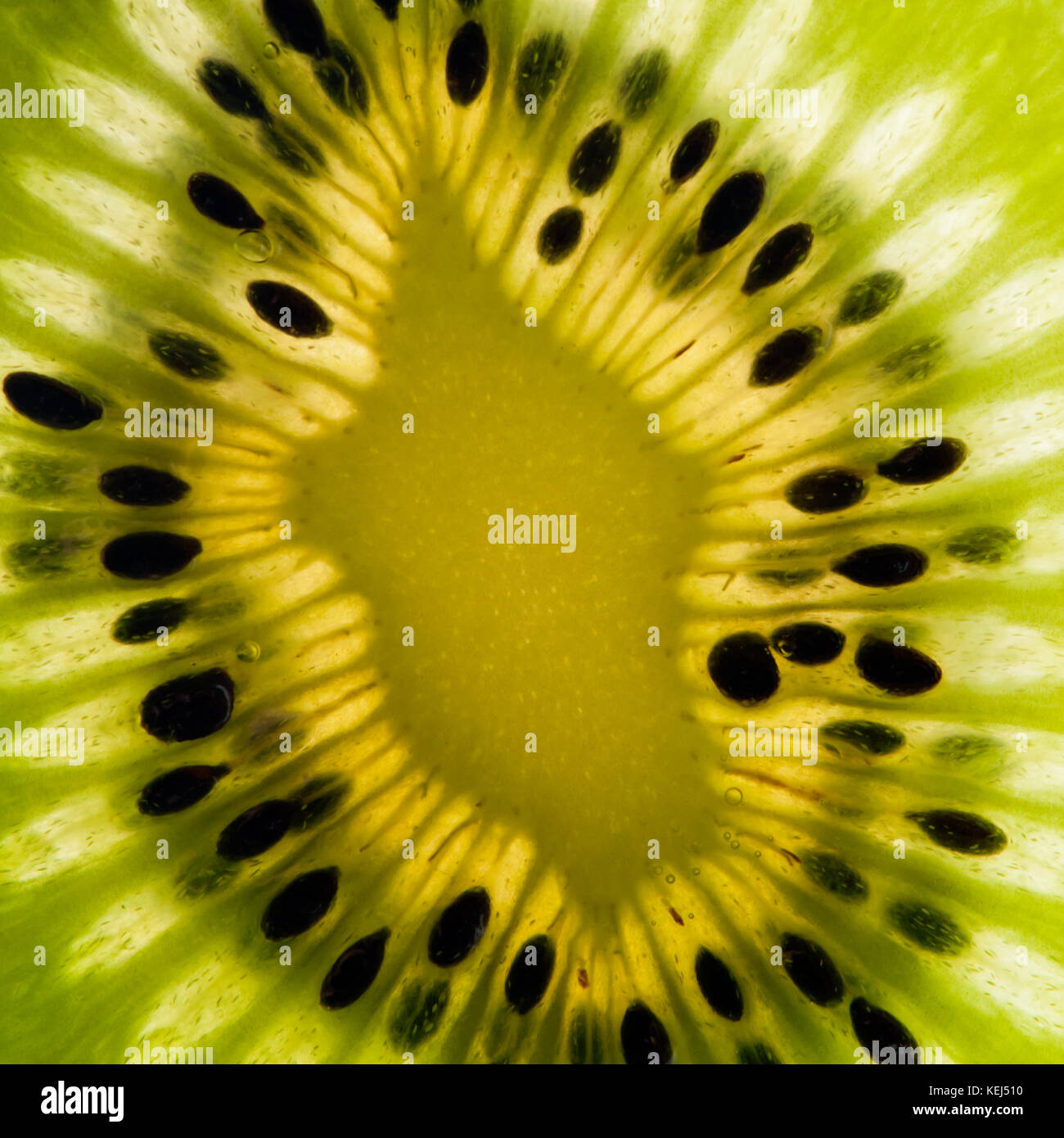 A close look at the patterns inside a kiwi fruit Stock Photo - Alamy