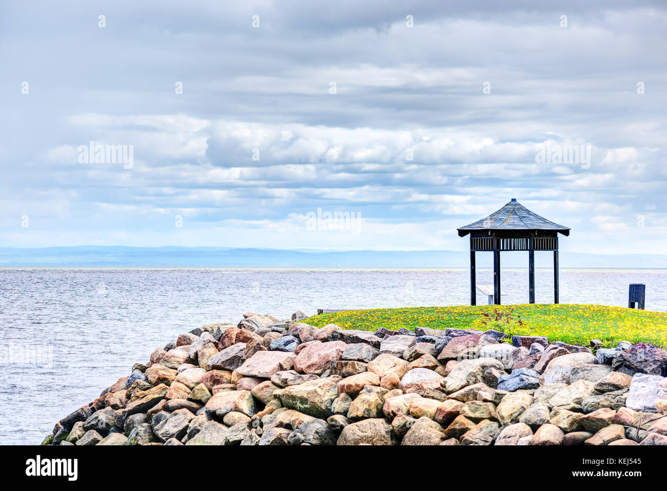 Field of yellow dandelion flowers and Gazebo by Saint Lawrence river in ...