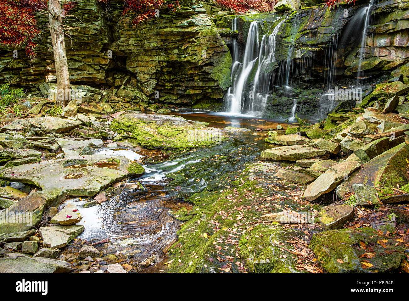 Elakala waterfall in Blackwater Falls State Park in West Virginia ...
