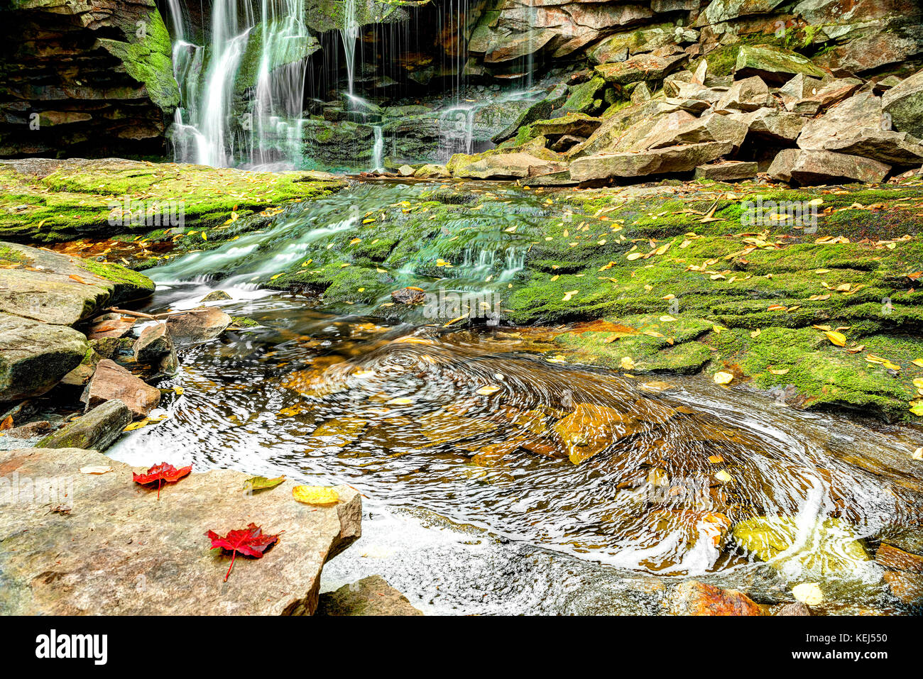 Elakala waterfall in Blackwater Falls State Park in West Virginia ...
