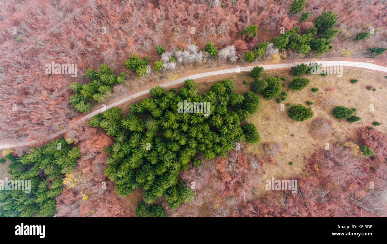 Aerial view of road through forest Stock Photo - Alamy