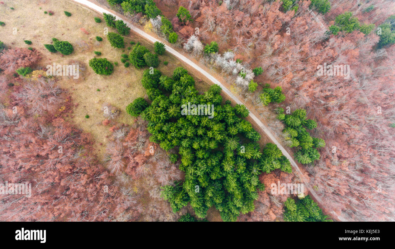 Aerial view of road through forest Stock Photo - Alamy