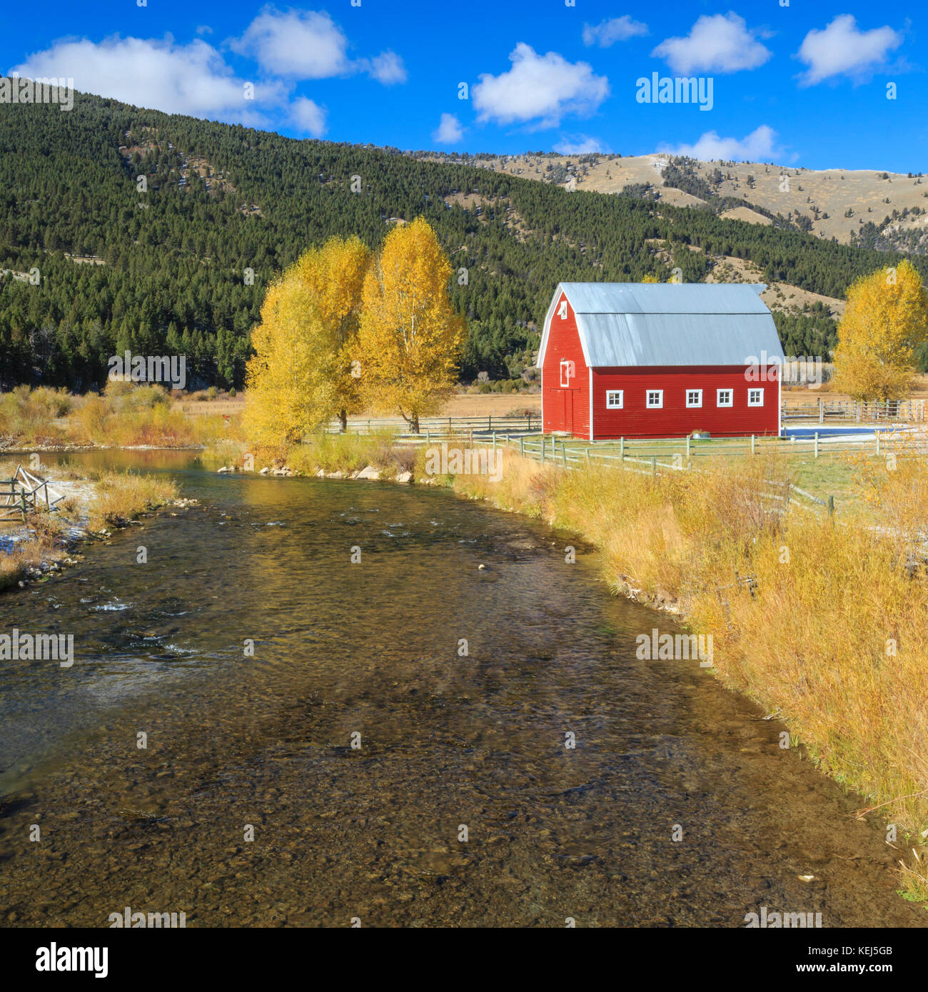 red barn and fall colors along the ruby river near alder, montana Stock ...